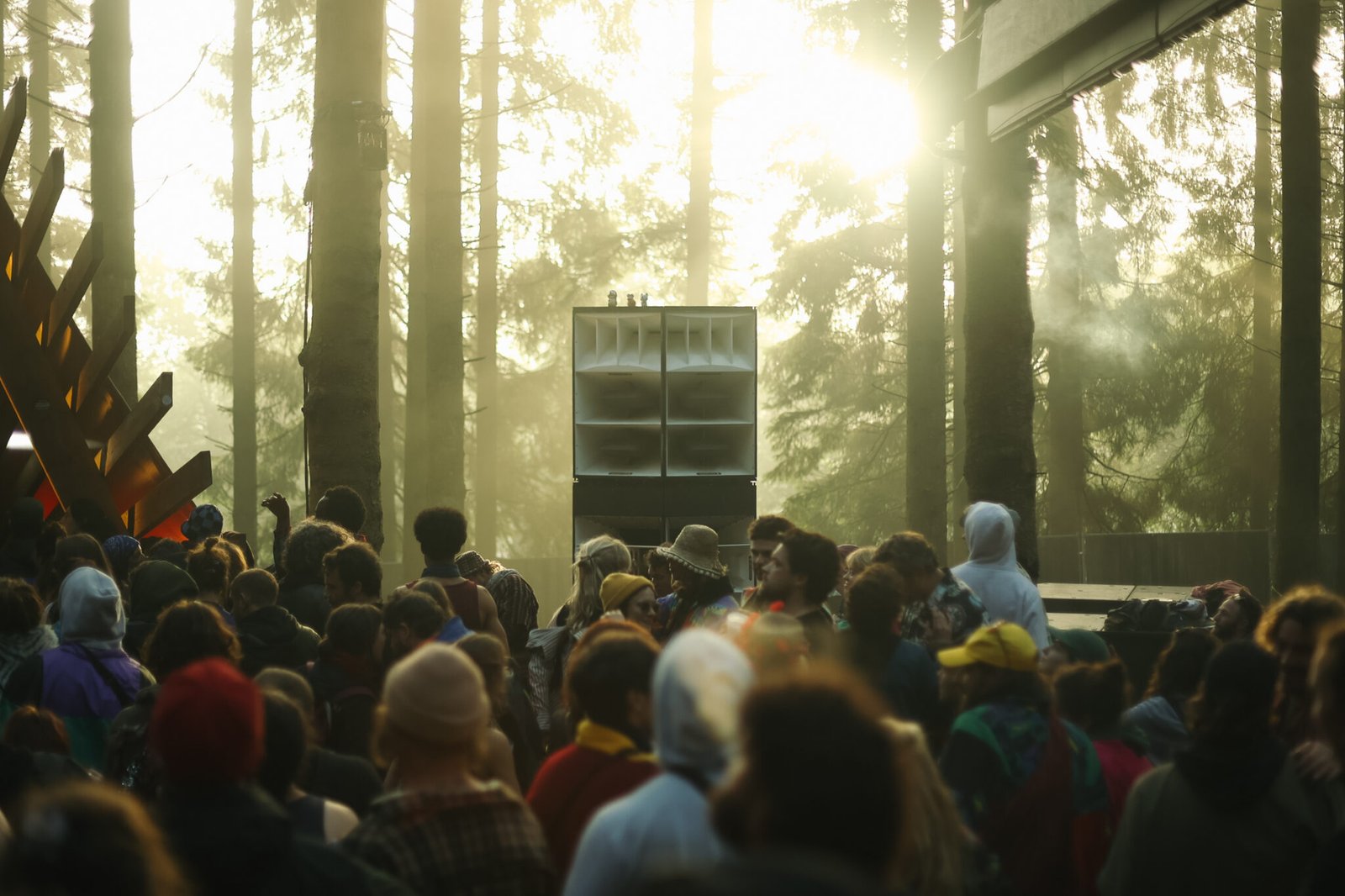 Rooted in the Forest, Open to the World: La Nature Festival | t-mag